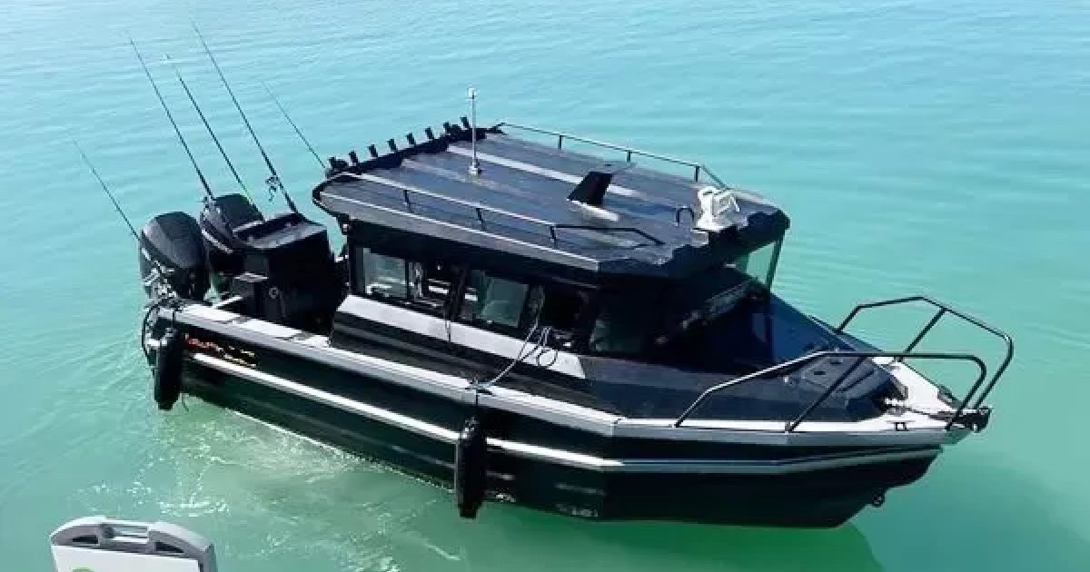 Wild Boats | Wild One